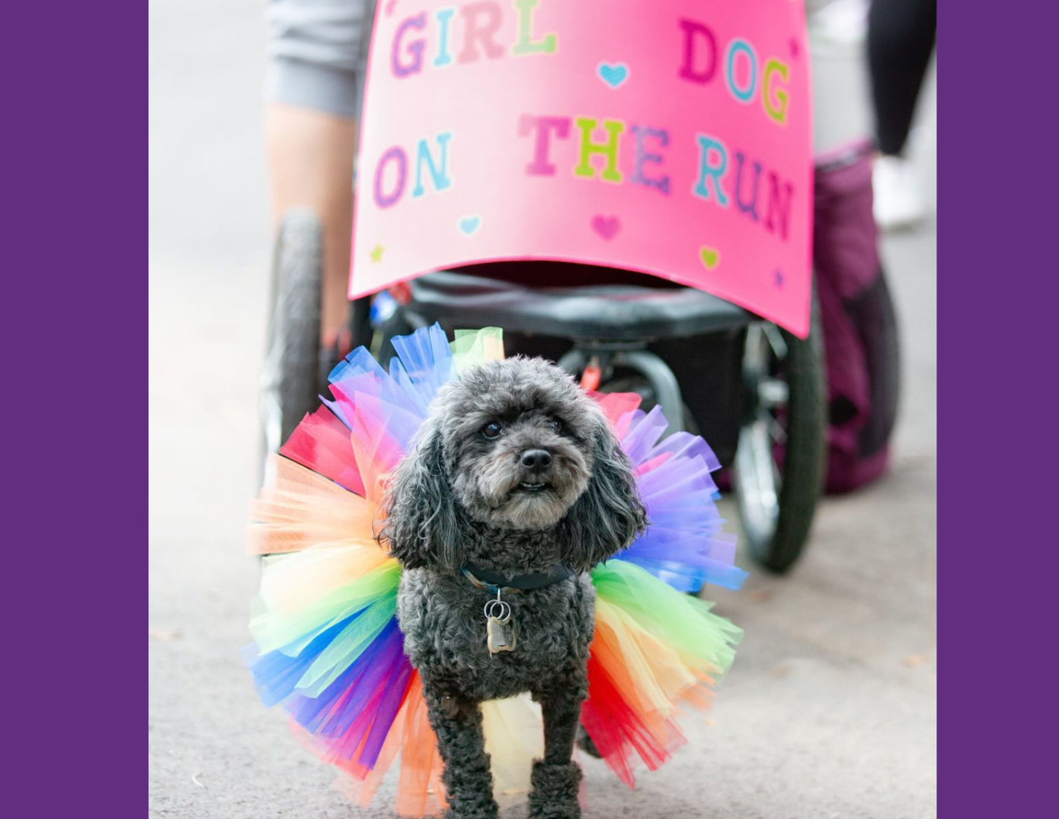 28 Super Signs from Spring 5Ks | Blog | GOTR