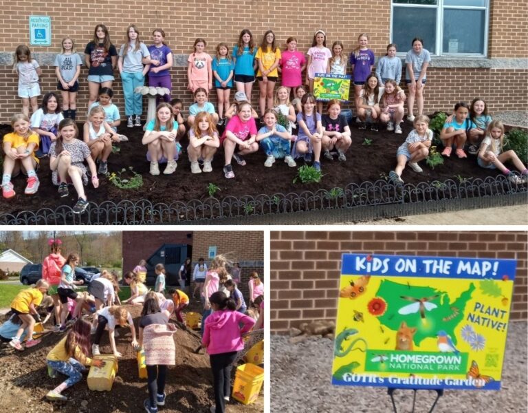 Community Impact Spotlight: 7 Projects That Sparked Joy in Schools ...